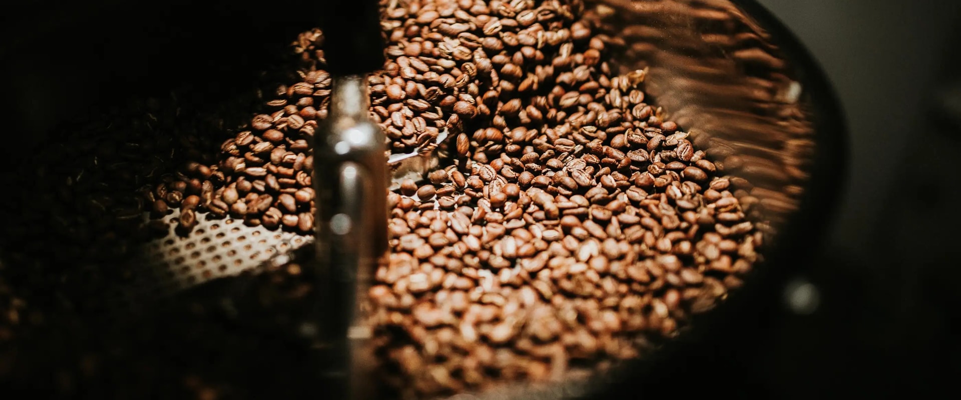 Exploring the Flavor Profiles of Single Origin Beans